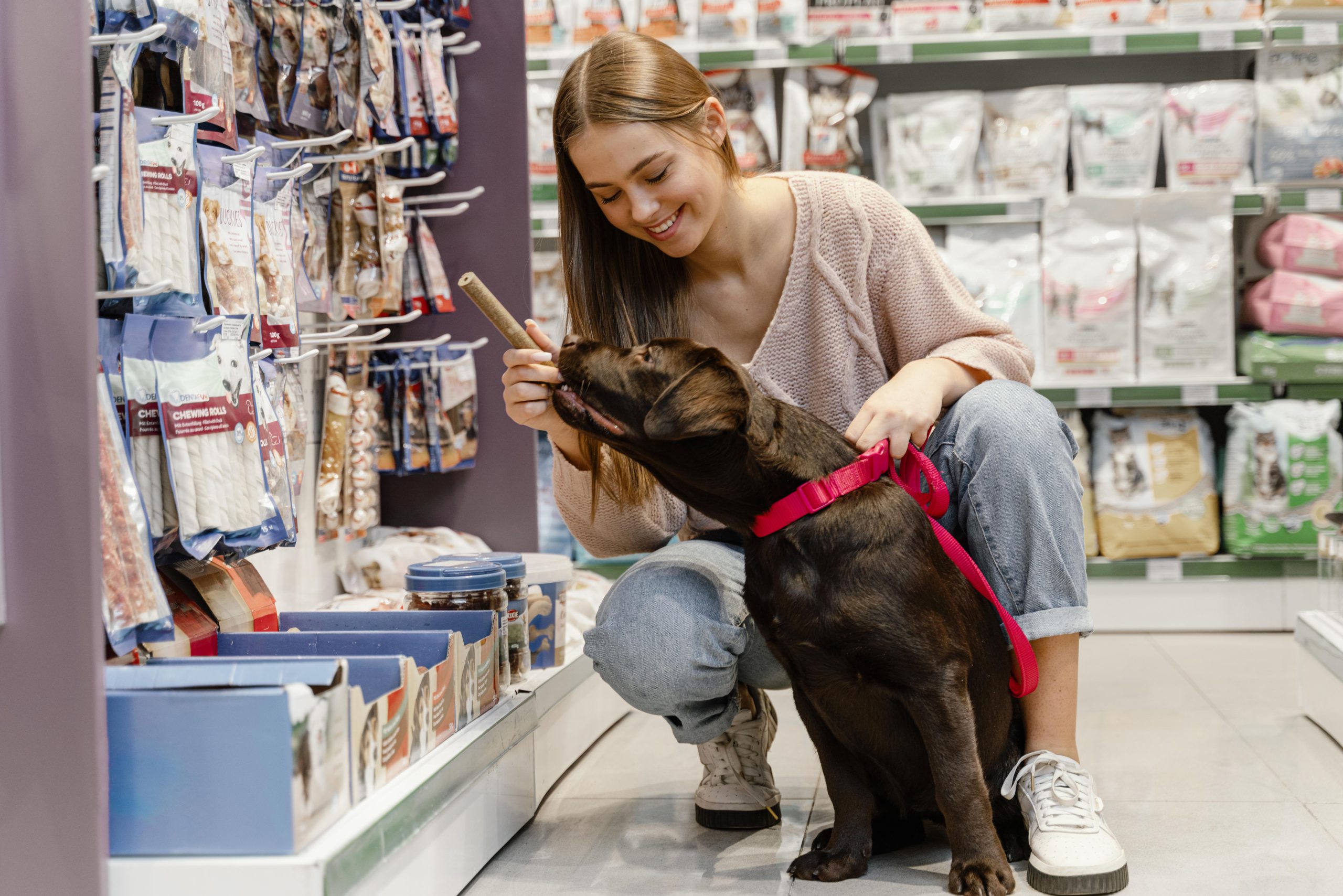 O Mercado Pet Uma Oportunidade Para Voc Empres metro Blog